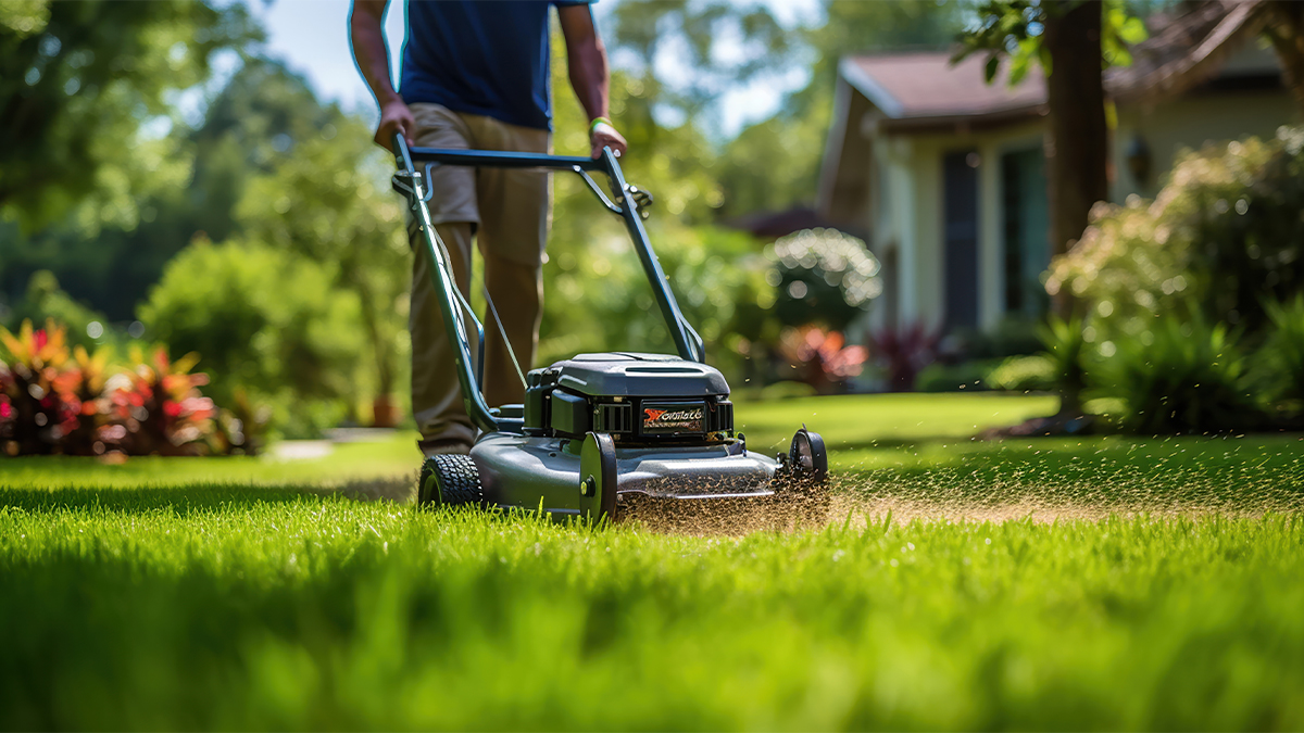 Lawn Care: The Ultimate Guide to a Lush, Healthy Lawn